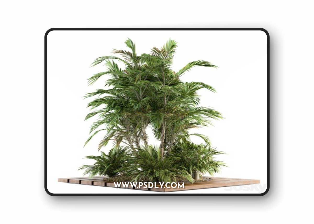 Garden Set Tropical Bush And Tree - Garden Set 05