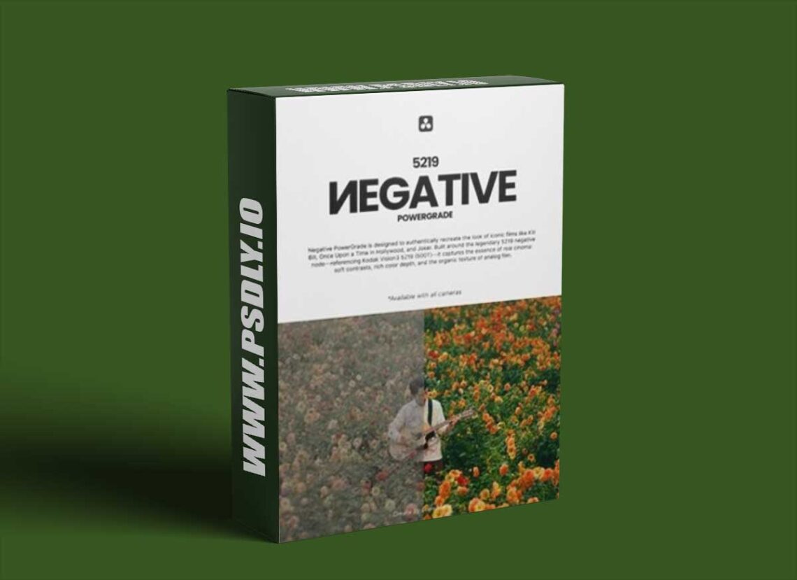 Loris Marie - Negative Powergrade For Davinci